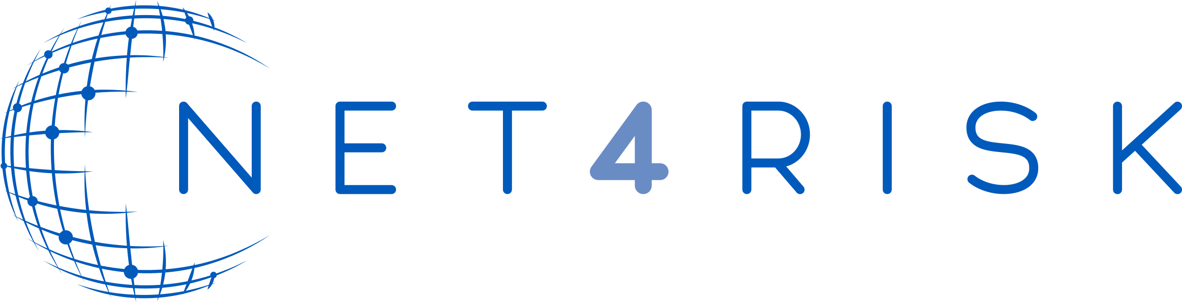 Net4Risk, Network di Risk Management